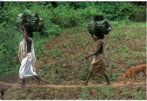 Complete Guide For Class 8 History Chapter 4 - Tribals Dikus and the ...