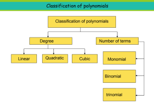 Polynomials- Complete Guide Class 9 Math Chapter 2 - iPrep