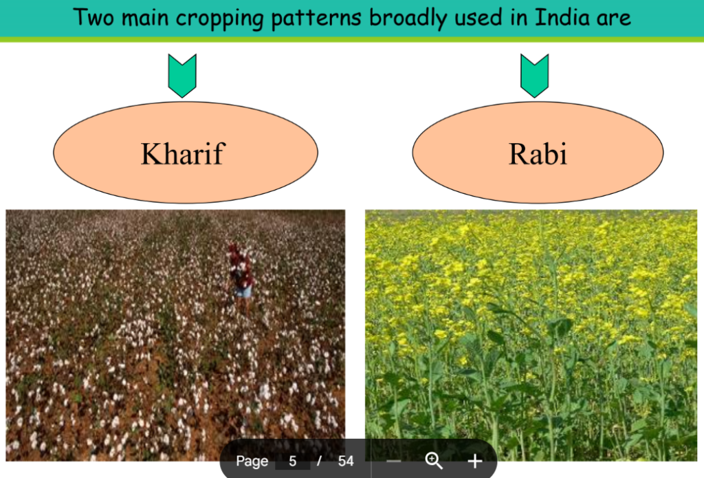 Crop Production and Management - Complete Guide For Class 8 Science ...