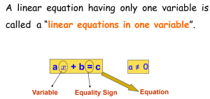 Linear Equations In One Variable - Complete Guide For Class 8 Math Chapter 2 - iPrep