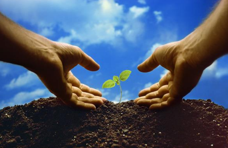 Complete Guide For Class 12 Business Studies Chapter 3: Business ...