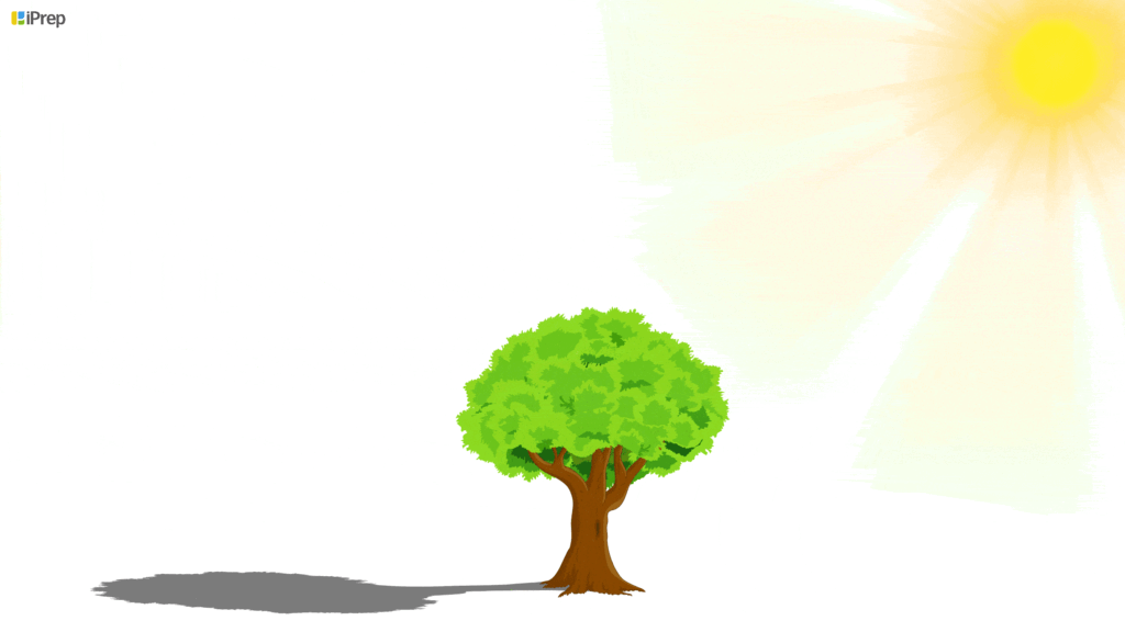 Multi Grade Content Made Easy with iPrep