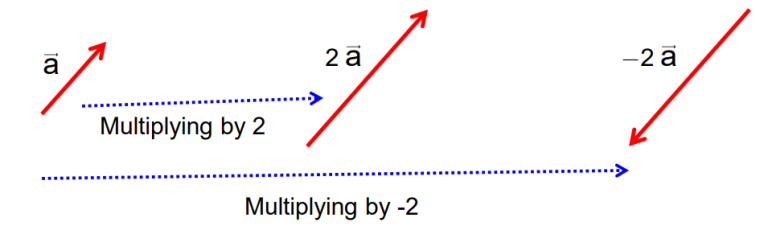 Vector Algebra - Complete Guide For Class 12 Math Chapter 10 - iPrep