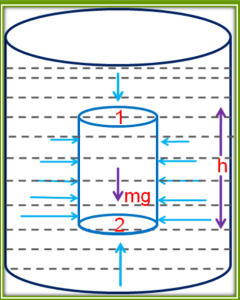 Mechanical Properties of Fluids - Complete Guide For Class 11 Physics ...