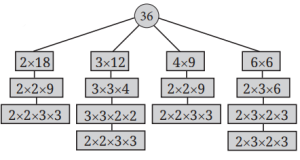 Prime Time - Complete Guide For Class 6 Math Chapter 5 - iPrep
