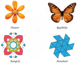 Symmetry - Complete Guide For Class 6 Math Chapter 9 - iPrep