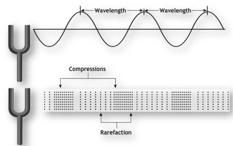 Sound- Complete Guide for Class 9 Science Chapter 11 - iPrep