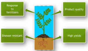 Improvement in Food Resources - Complete Guide For Class 9 Science ...