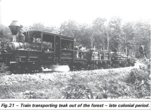 Forest Society and Colonialism- Complete Guide For Class 9 History ...