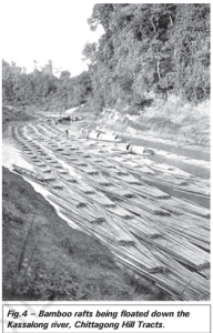 Forest Society and Colonialism- Complete Guide For Class 9 History ...