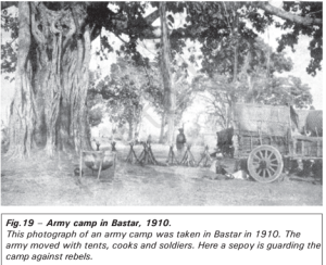 Forest Society and Colonialism- Complete Guide For Class 9 History ...