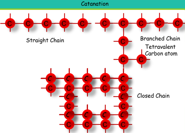 Carbon and Its Compounds - The Best Guide For Class 10 Science Chapter ...