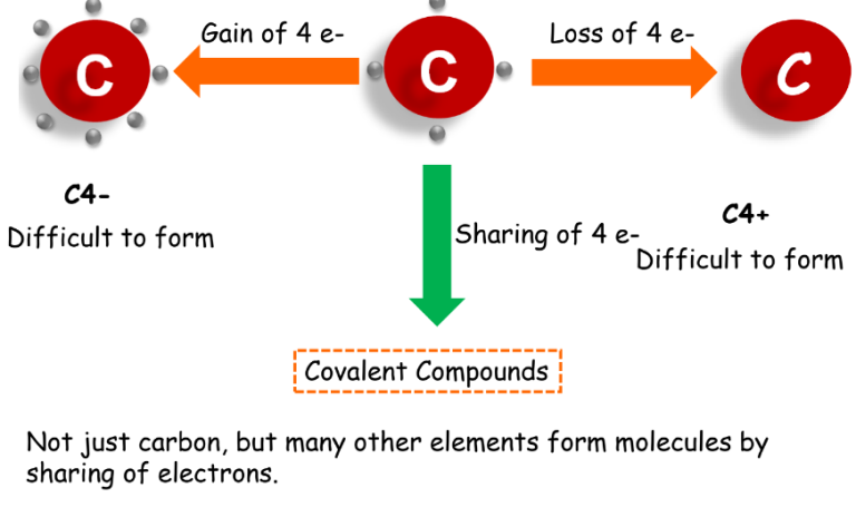 Carbon and Its Compounds - The Best Guide For Class 10 Science Chapter ...