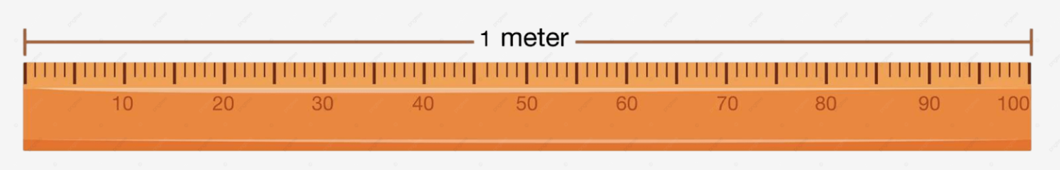 Long and Short - Complete Guide For Class 4 Math Chapter 2 - iPrep