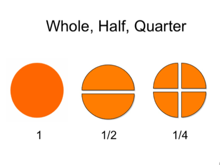 Halves and Quarters - Complete Guide For Class 4 Math Chapter 9 - iPrep
