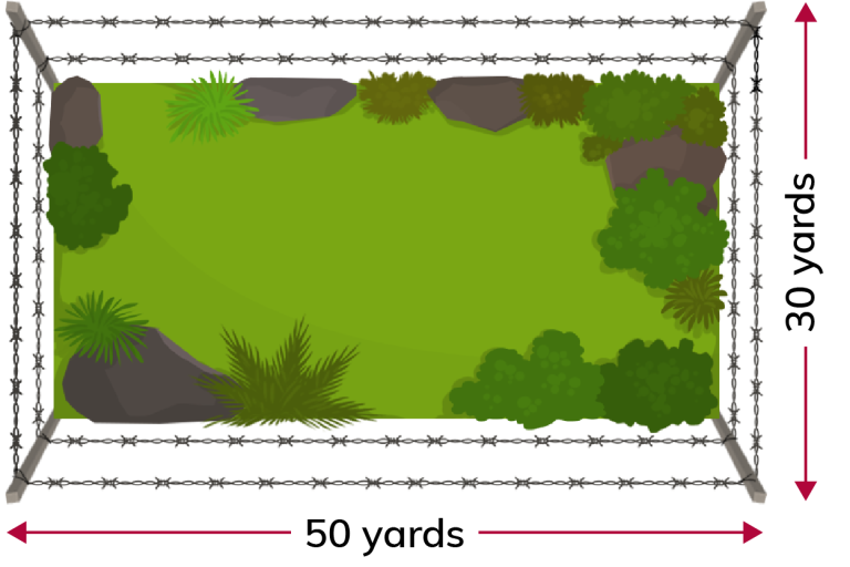 Fields and Fences - Complete Guide For Class 4 Math Chapter 13 - iPrep