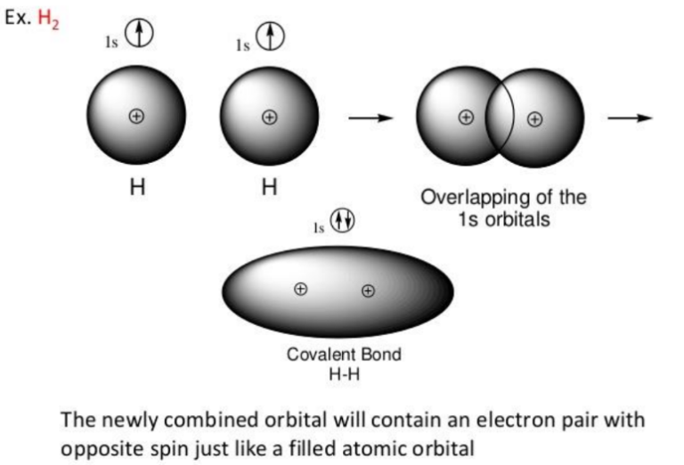 Chemical Bonding and Molecular Structure - Complete Guide For Class 11 ...